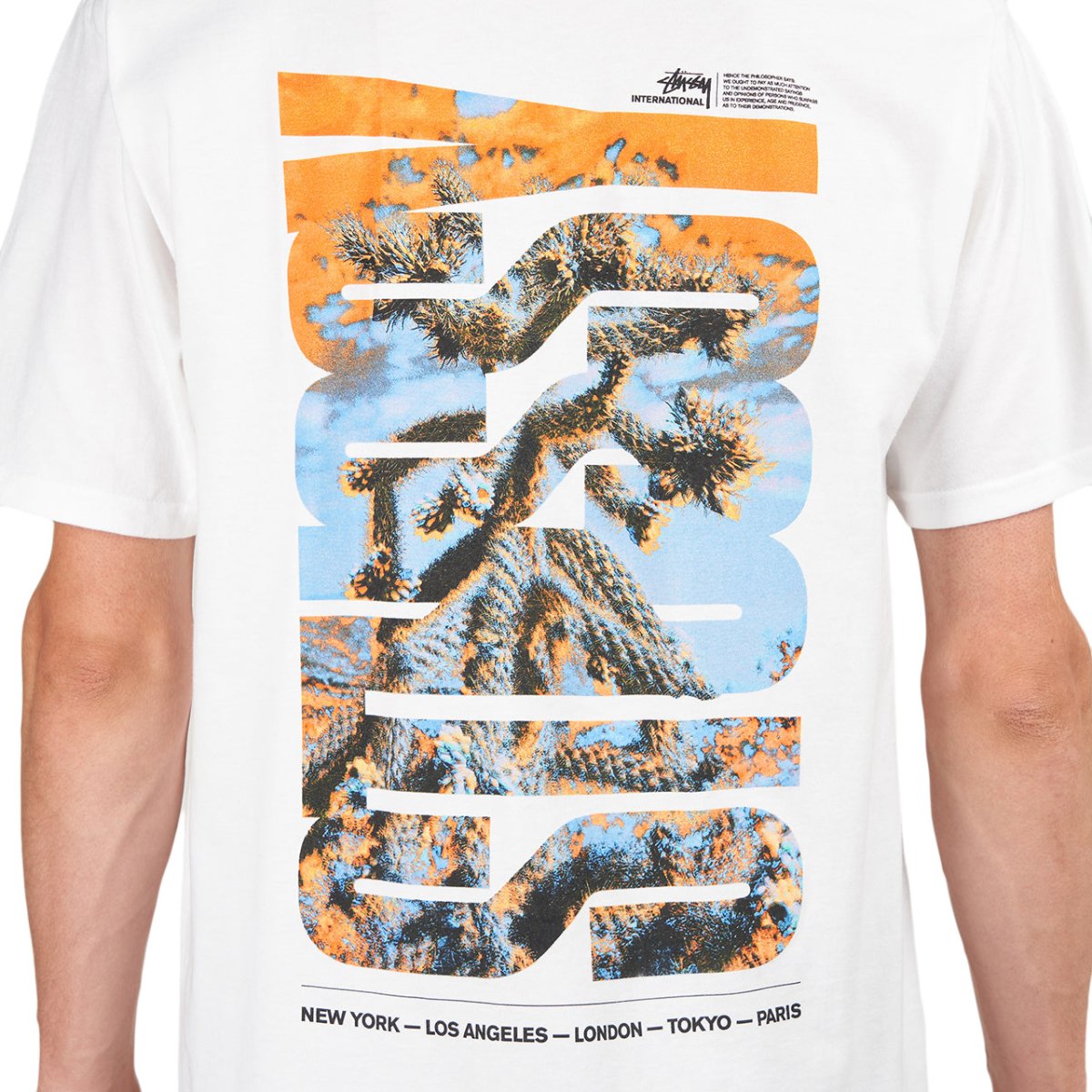 Stüssy Desert Sky Tee (White) 1904706-1201 – Allike Store